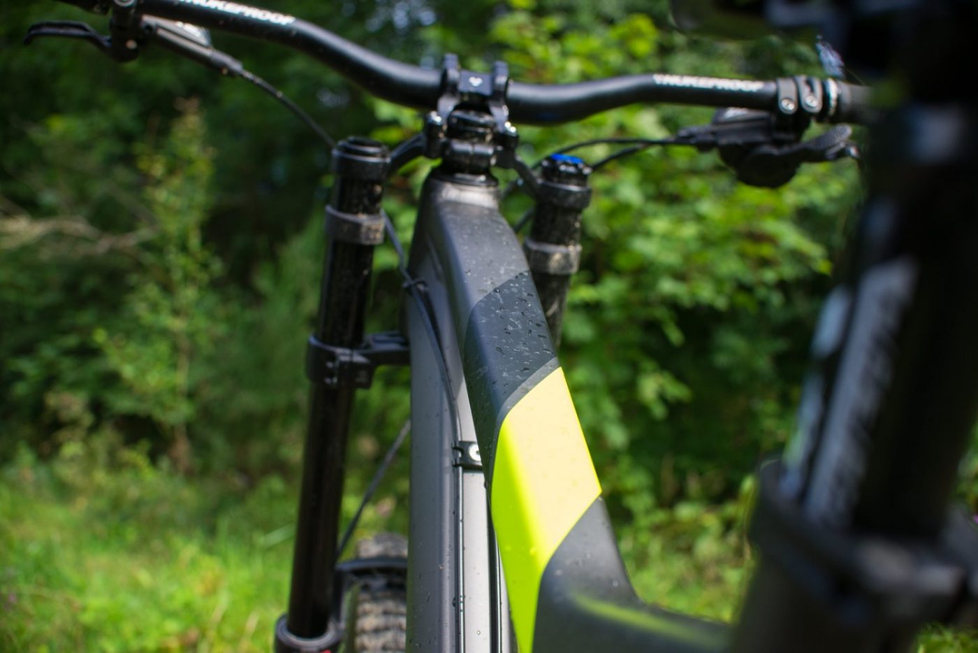 The Vitus Dominer - a downhill bike that doesn't cost a fortune