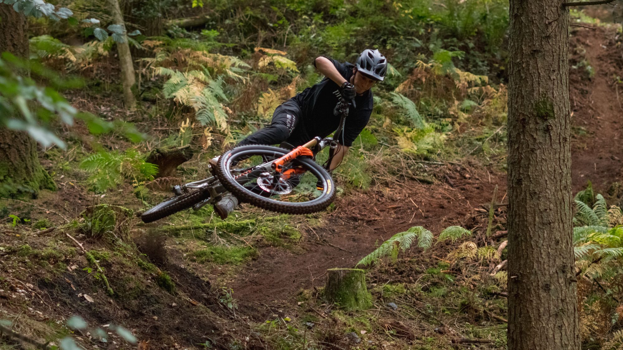 Fergus Ryan Puts His Broken Ankle Behind him in ‘Regression ...